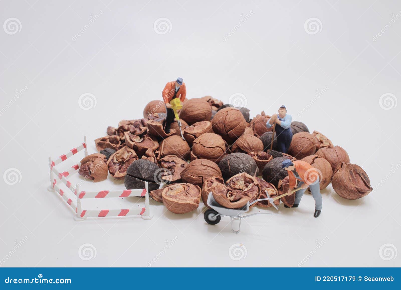 A Mini Construction Worker Figurines Working on Opening Walnuts Stock ...