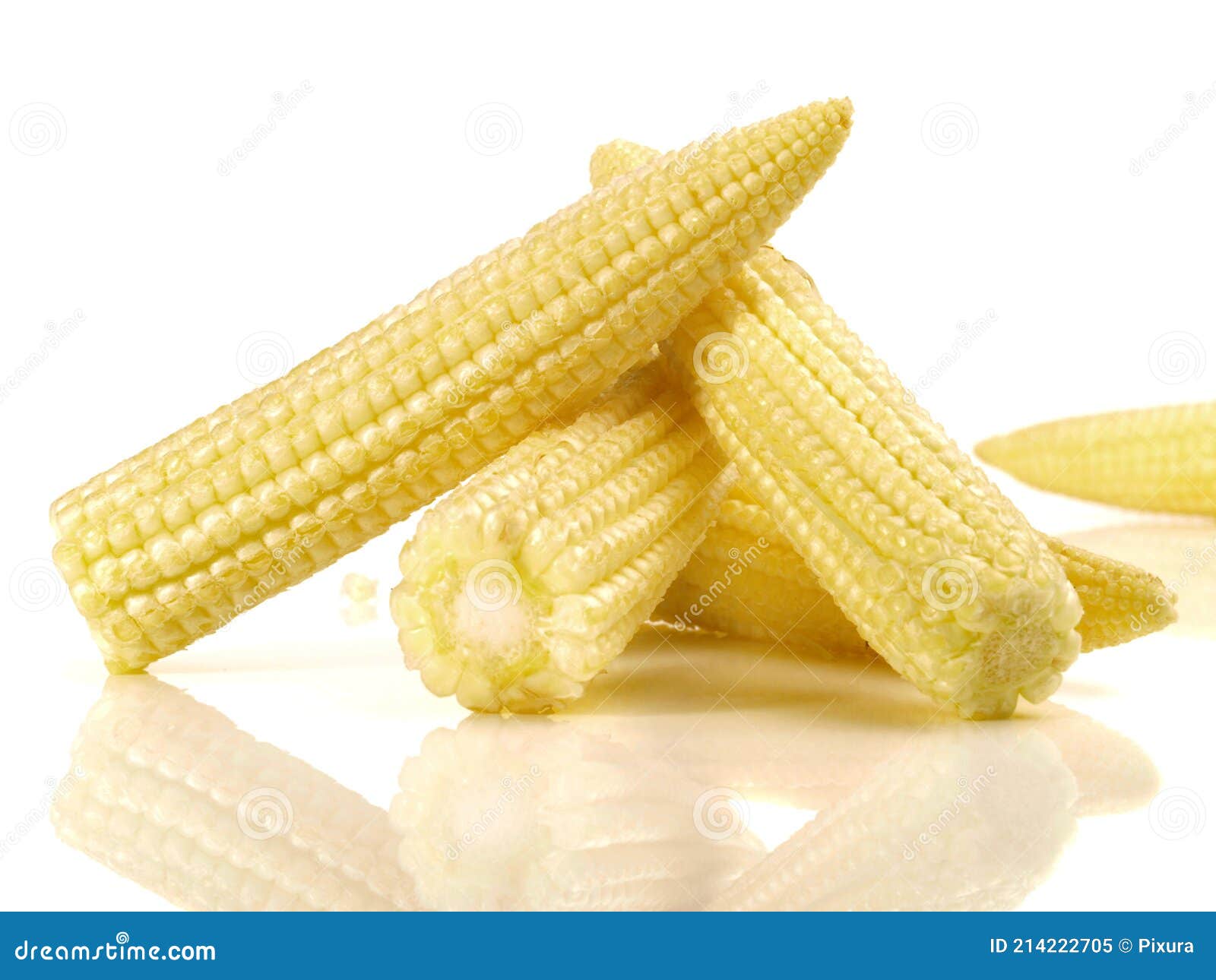 Mini Corn Cobs on White Background - Isolated Stock Image - Image of ...