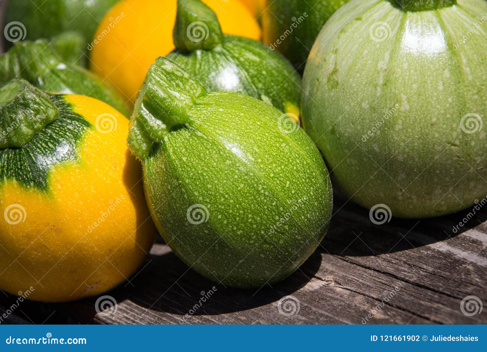 Mini Courgette De Courge De Boule De La Boule Huit De Courgette Photo ...