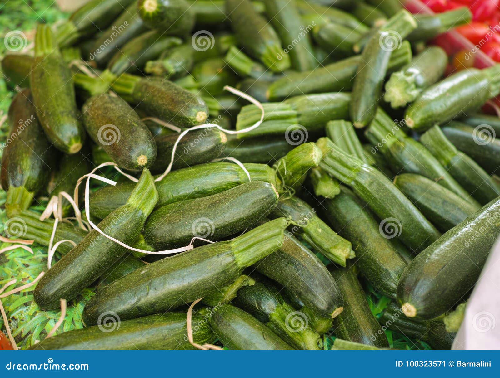 Mini Courgette Verde Pequeno Fresco Imagem de Stock - Imagem de pequeno ...