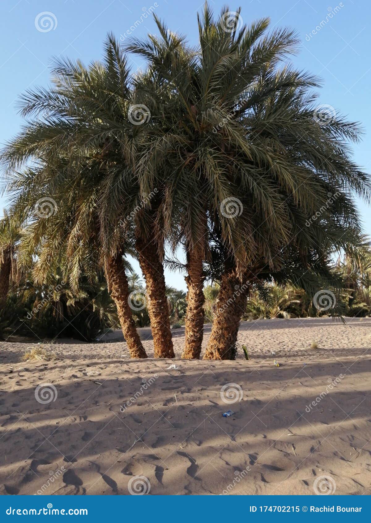 The mini desert stock image. Image of mini, sahara, desert - 174702215