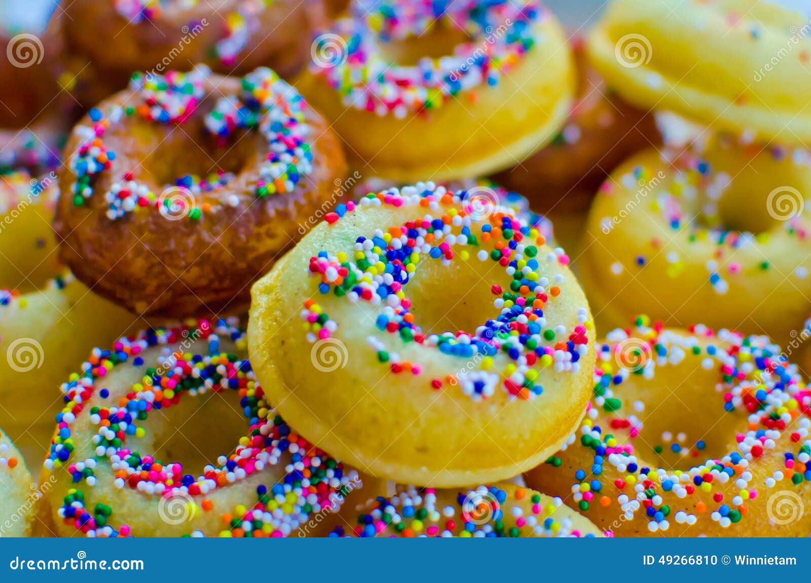 Mini donuts with sprinkles stock photo. Image of dessert - 49266810