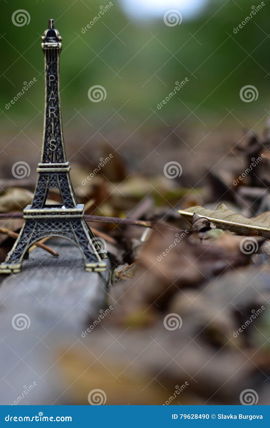 The Mini Eiffel Tower Covered with Leaves Stock Photo - Image of leafs ...