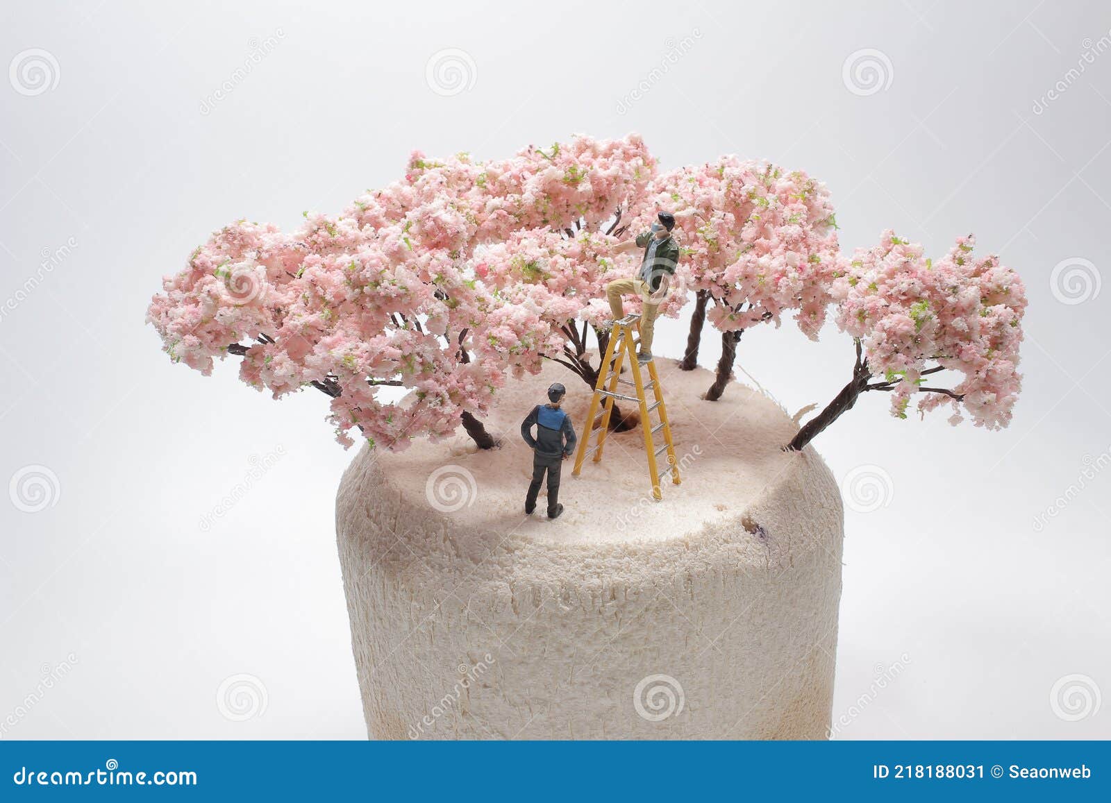 A Mini Figure Cat from a Cherry Blossoms Tree with the Help of a Ladder ...