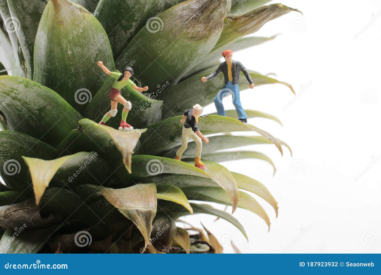 A Mini Figure Roller Skating on the Pineapple Stock Photo - Image of ...