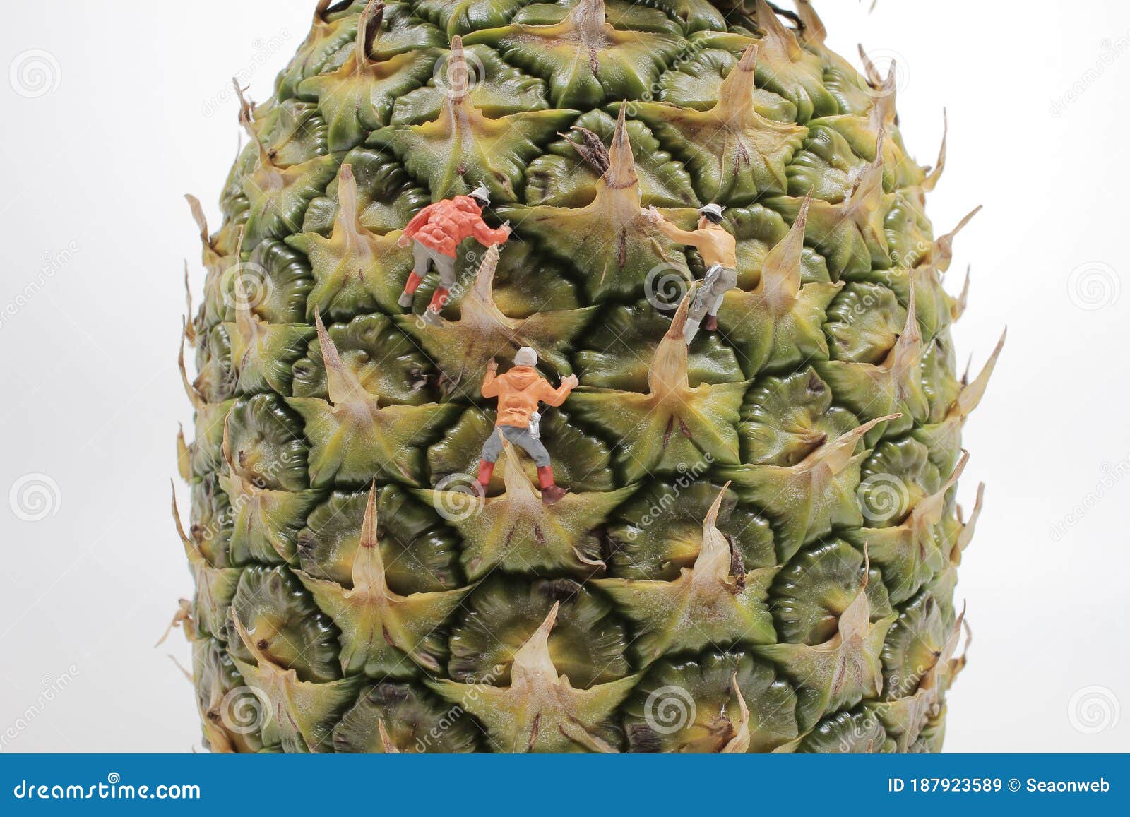 The Mini Figure Roller Skating on Thepineapple Stock Image - Image of ...