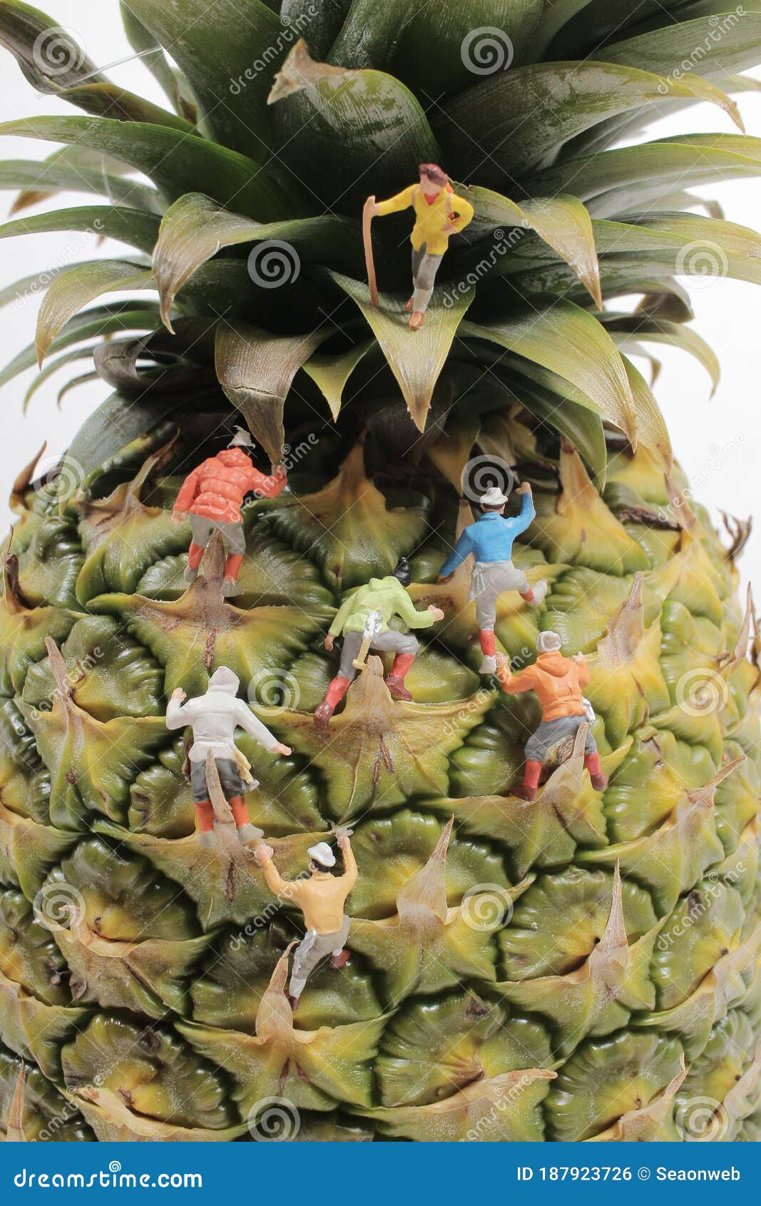 The Mini Figure Roller Skating on Thepineapple Stock Photo - Image of ...