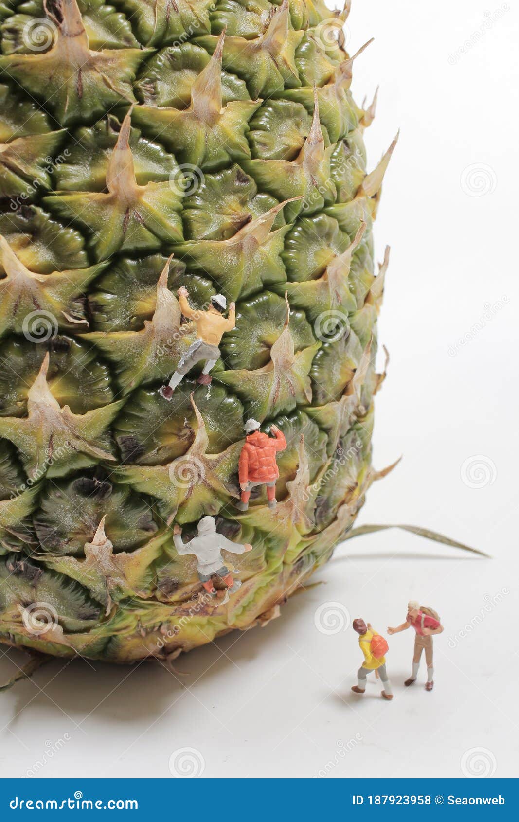 The Mini Figure Roller Skating on Thepineapple Stock Photo - Image of ...