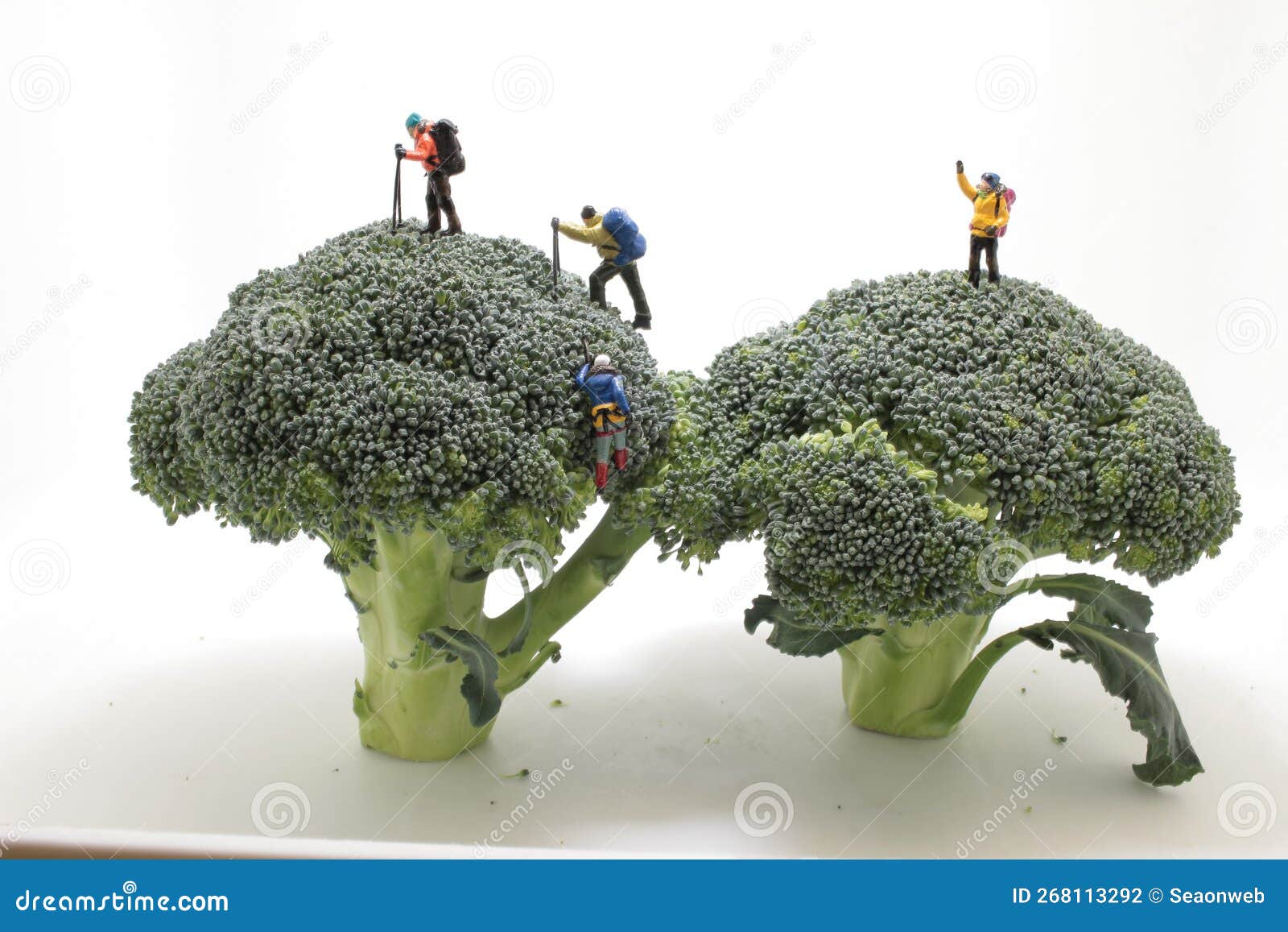 A Mini Figure Travel at Broccoli Tree Stock Photo - Image of funny ...