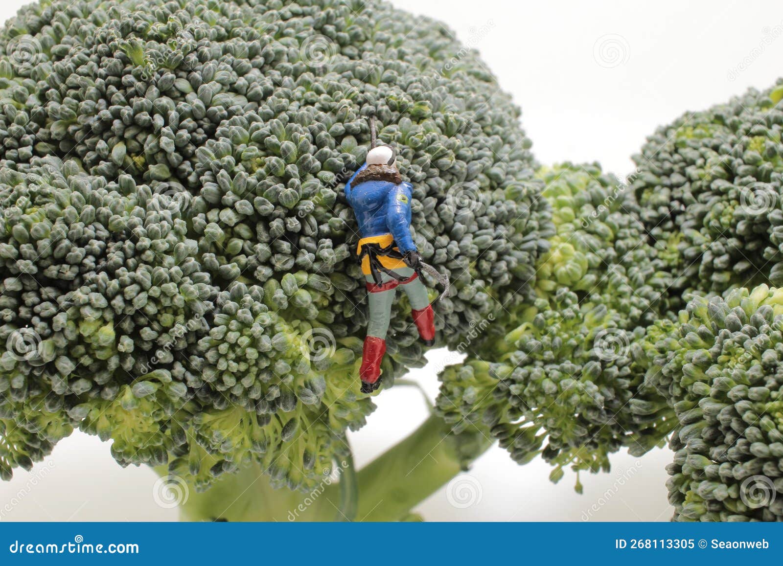 A Mini Figure Travel at Broccoli Tree Stock Image - Image of amusing ...