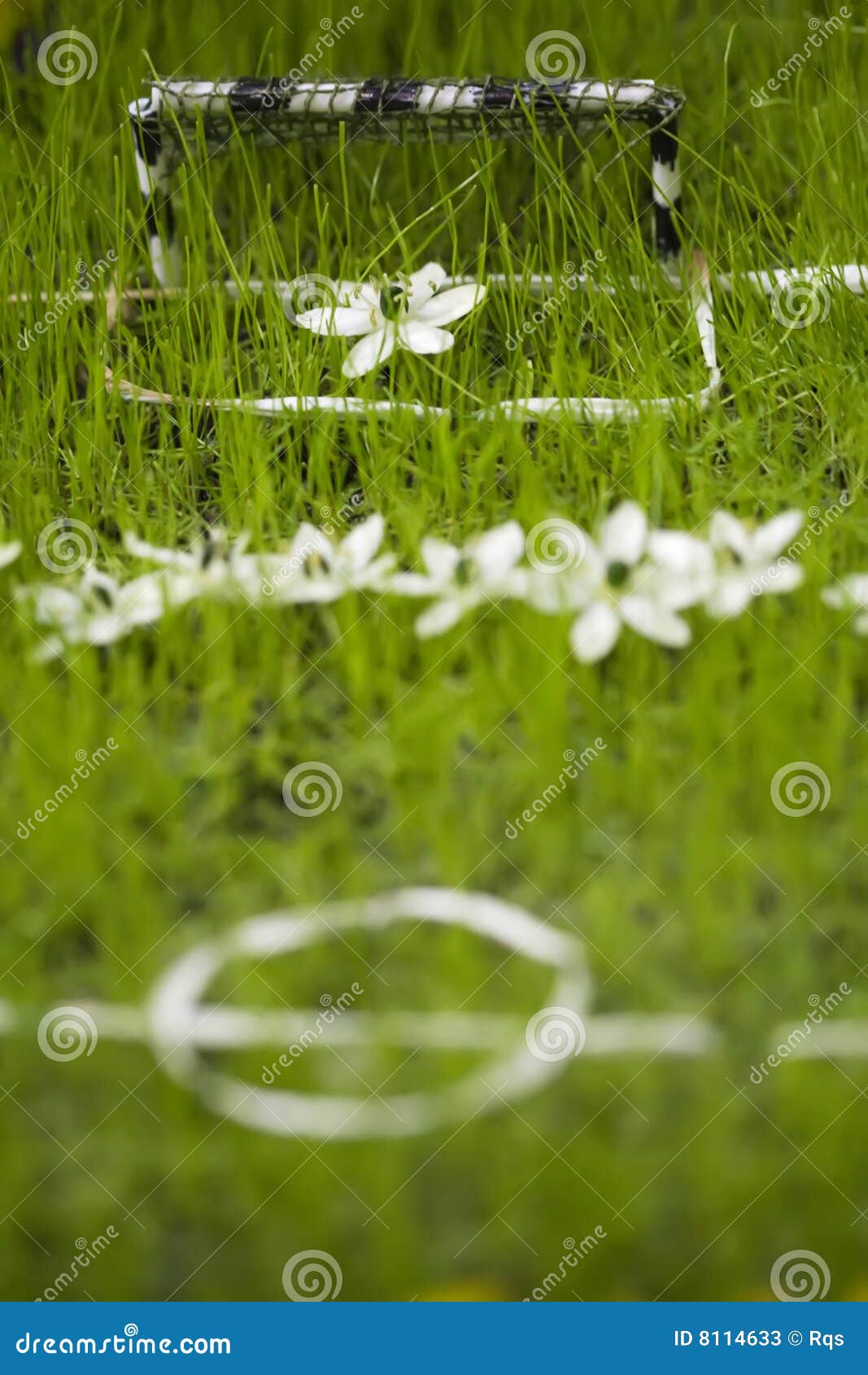 Mini flower football field stock image. Image of earth - 8114633
