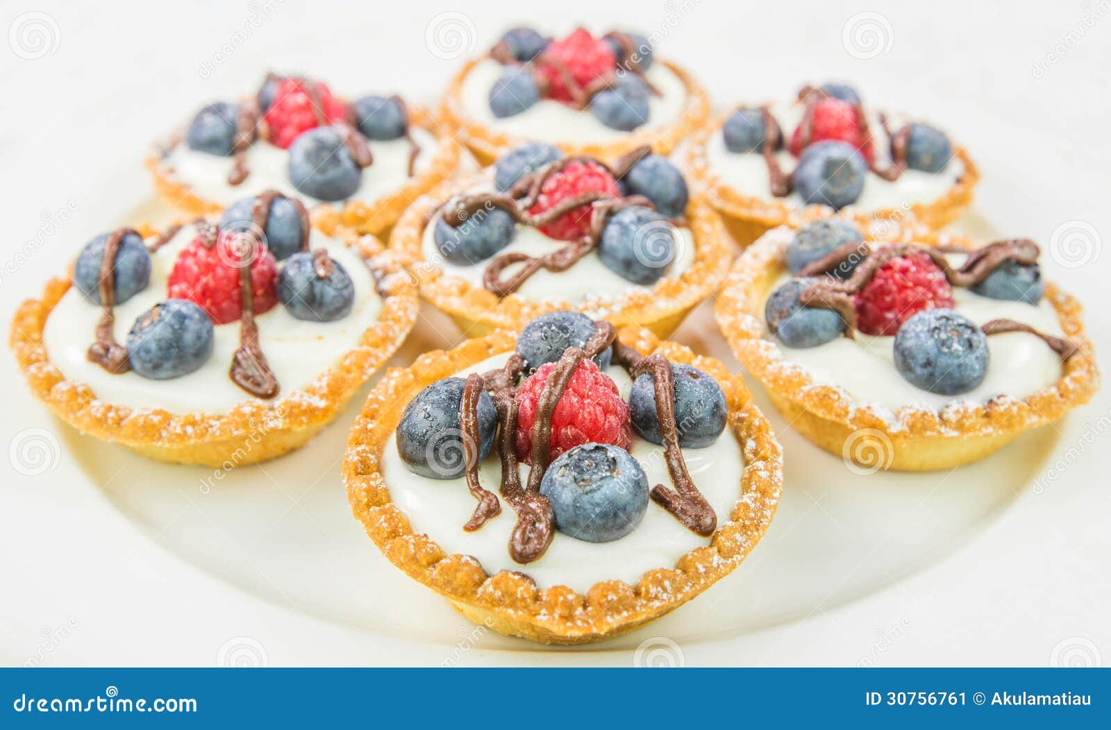 Mini Fruit Tart VI stock image. Image of tart, raspberry - 30756761