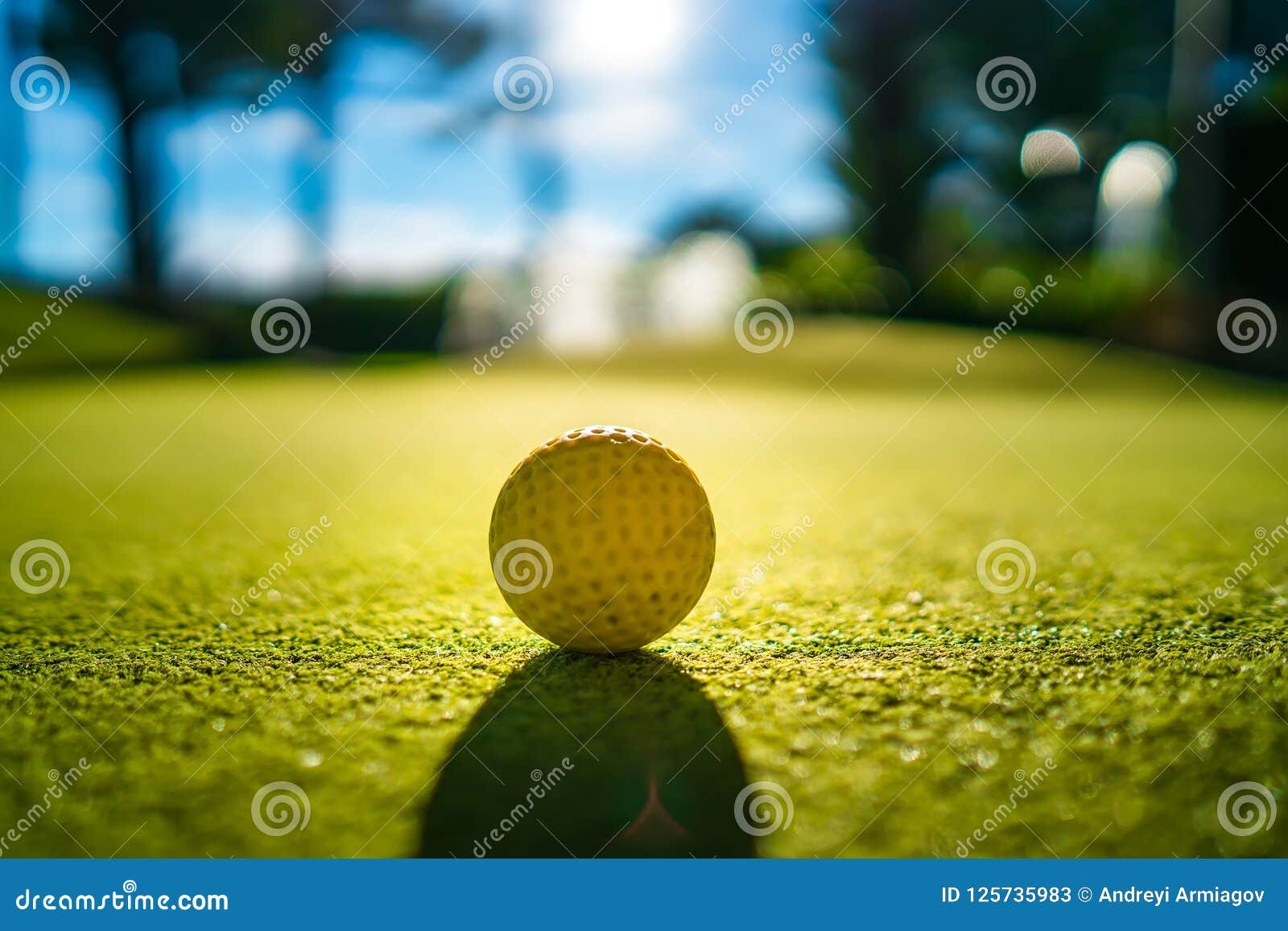 Mini Golf Yellow Ball On Green Grass At Sunset Stock Image ...