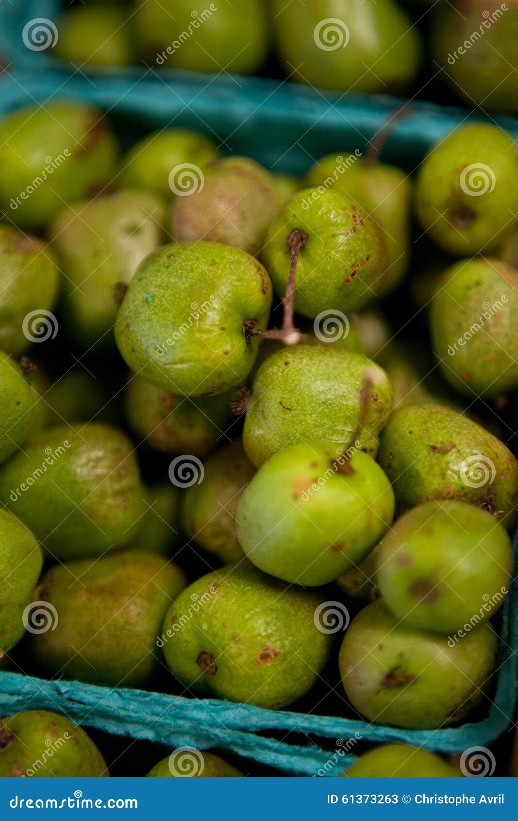 Mini Kiwi stock image. Image of actinidia, tree, dieting - 61373263