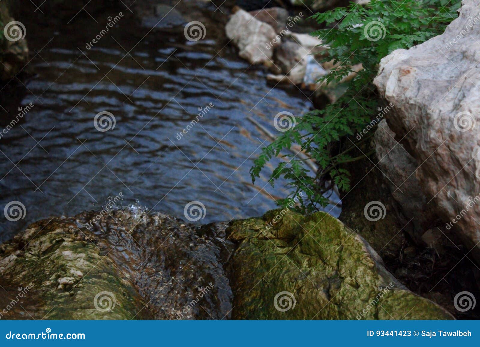 Mini lake stock image. Image of outdoor, tourism, lakes - 93441423