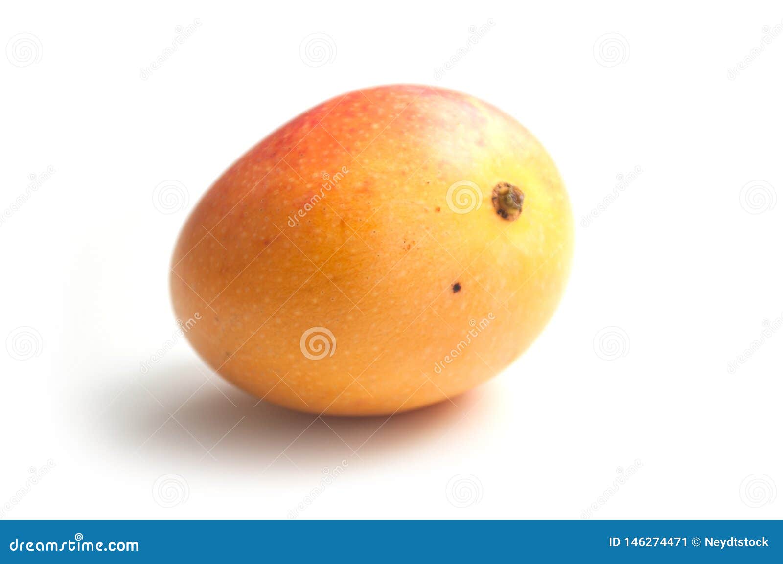 Mini Mango En El Fondo Blanco Imagen de archivo - Imagen de tenencia ...