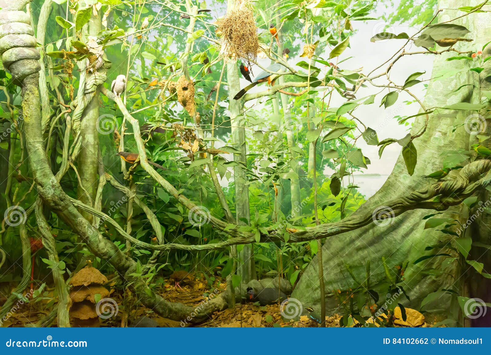 Mini Model of Green Forest. Stock Photo - Image of tree, miniature ...