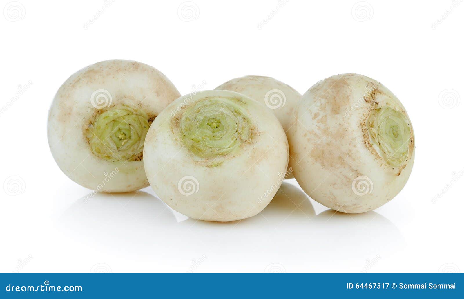 Mini Nabos Blancos En El Fondo Blanco Imagen de archivo - Imagen de ...