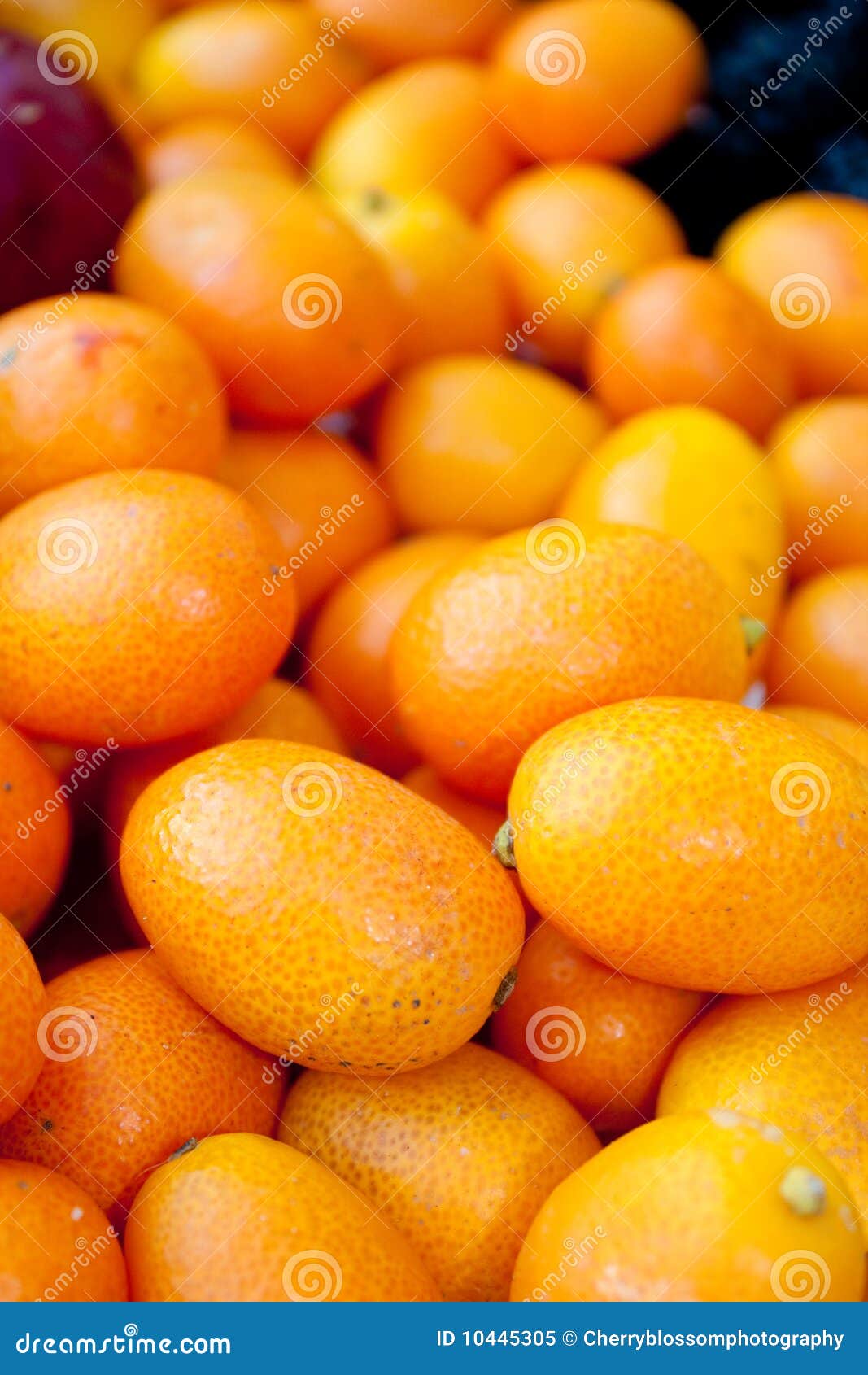 Mini-Naranjas imagen de archivo. Imagen de gusto, mini - 10445305