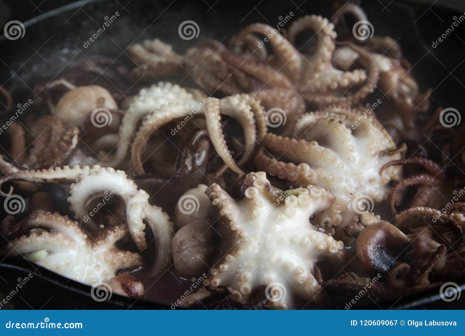 Mini Octopus In The Process Of Roasting On A Cast Iron Pan Royalty-Free ...