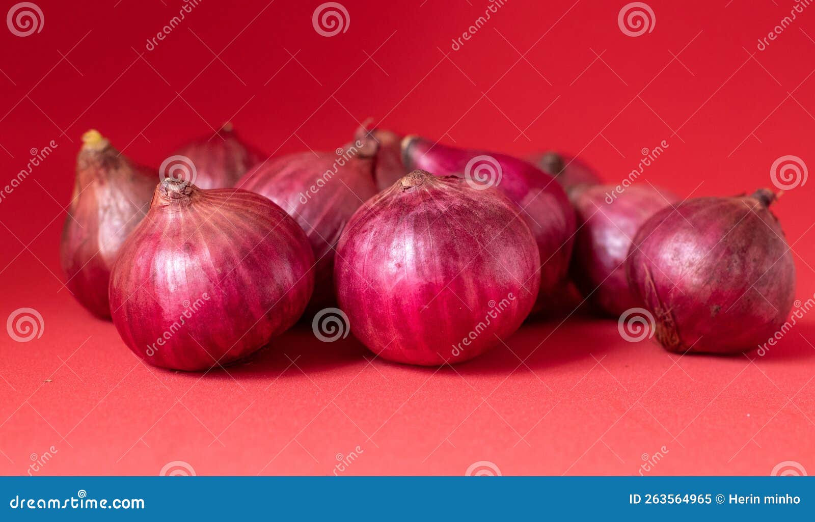 Mini onions from India stock image. Image of plant, orange - 263564965