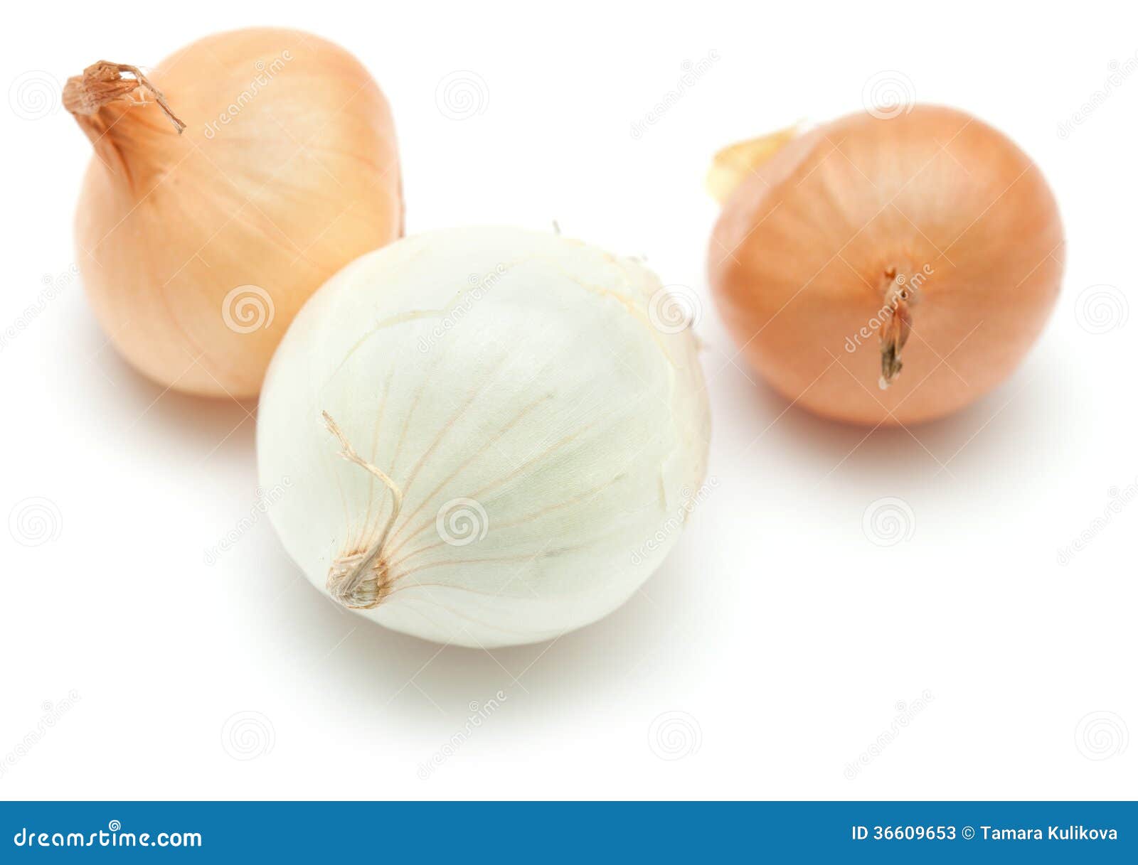 Mini Onions Isolated on White Stock Image - Image of agriculture ...