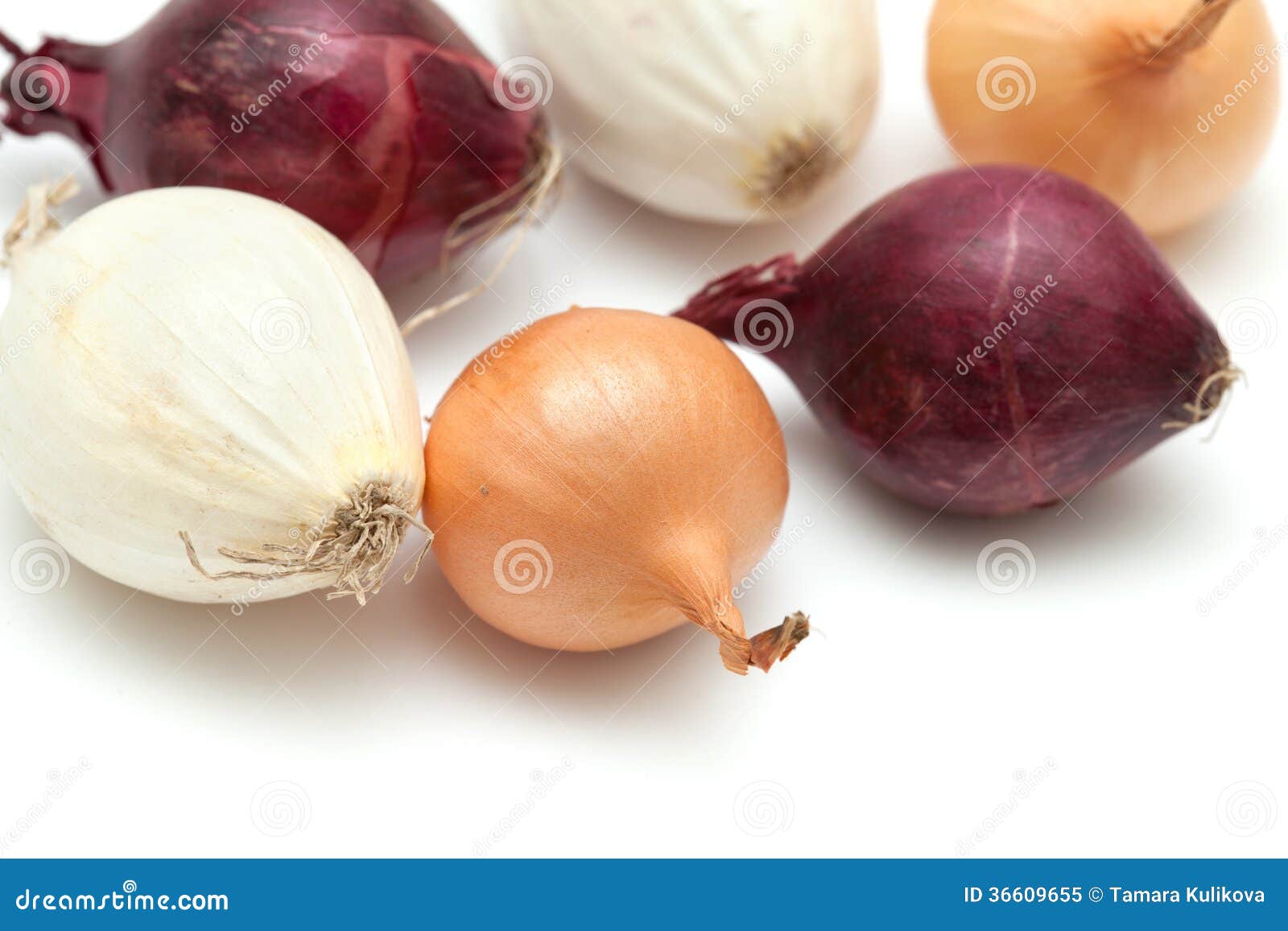 Mini Onions Isolated on White Stock Image - Image of delicious ...