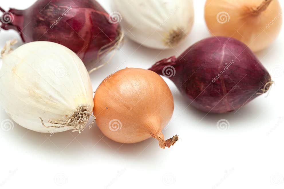 Mini Onions Isolated on White Stock Image - Image of delicious ...