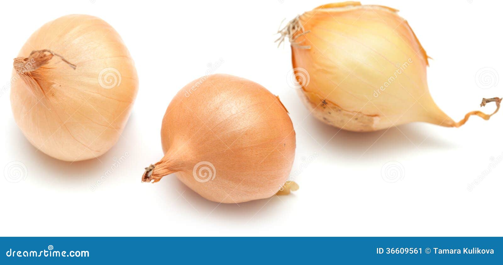 Mini onions on white stock image. Image of group, plant - 36609561