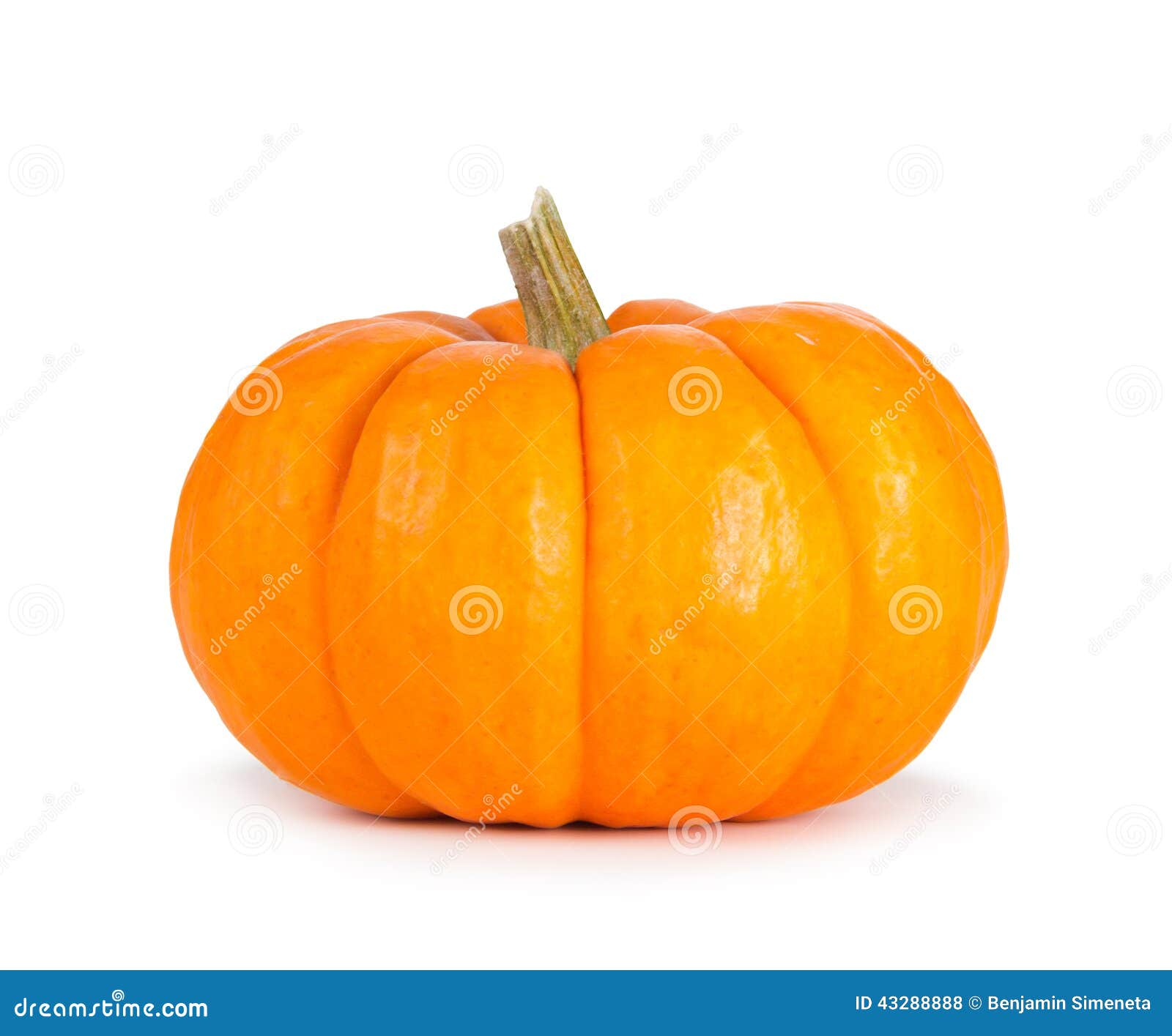 Orange Pumpkin Skin Texture Background Stock Photography ...