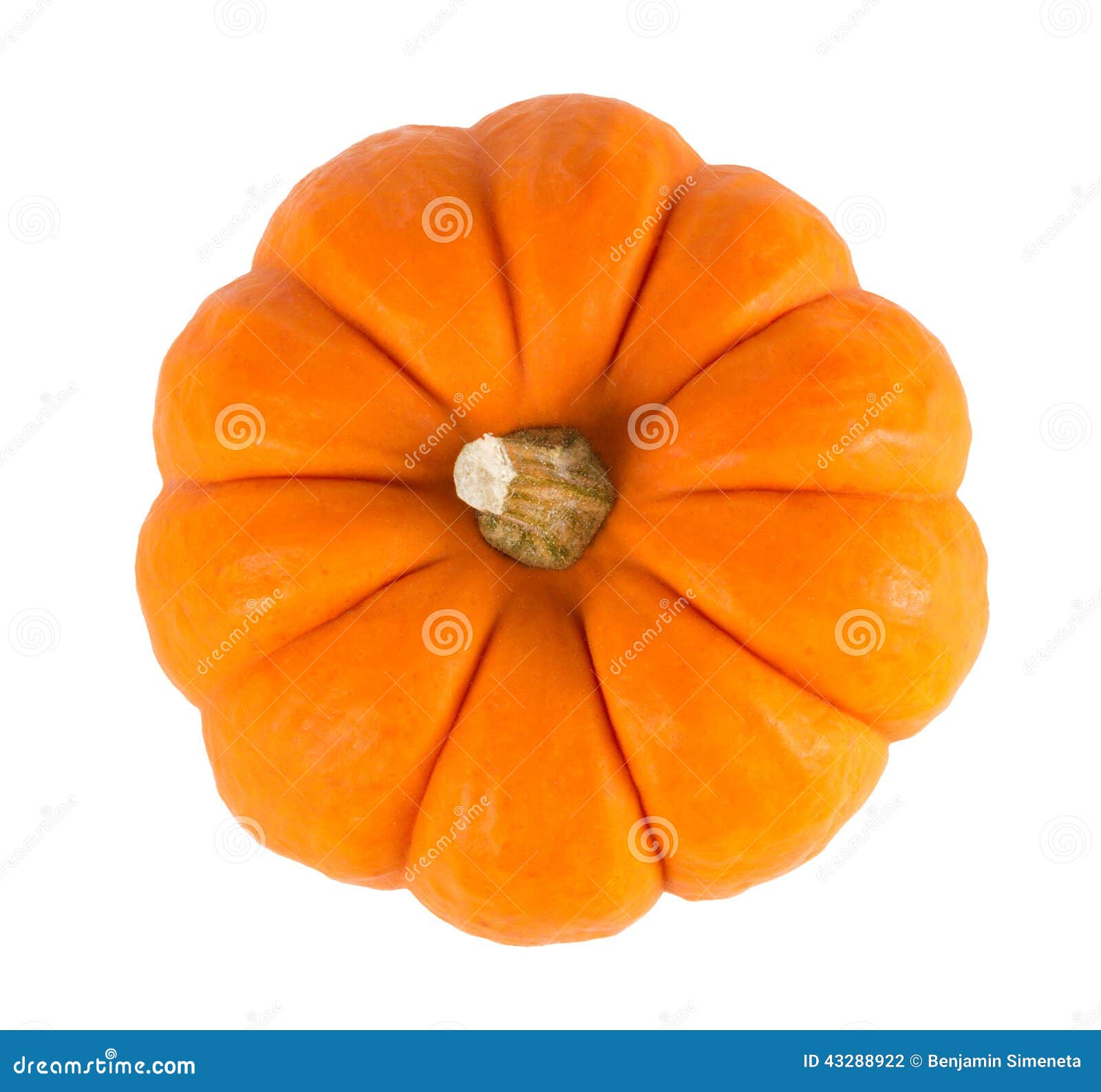 Mini Orange Pumpkin Isolated on White Stock Photo - Image of autumn ...