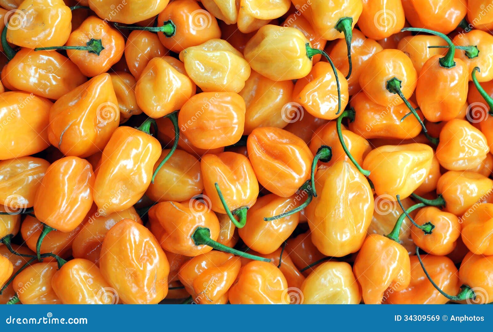 Mini paprika imagen de archivo. Imagen de dulce, pimienta - 34309569