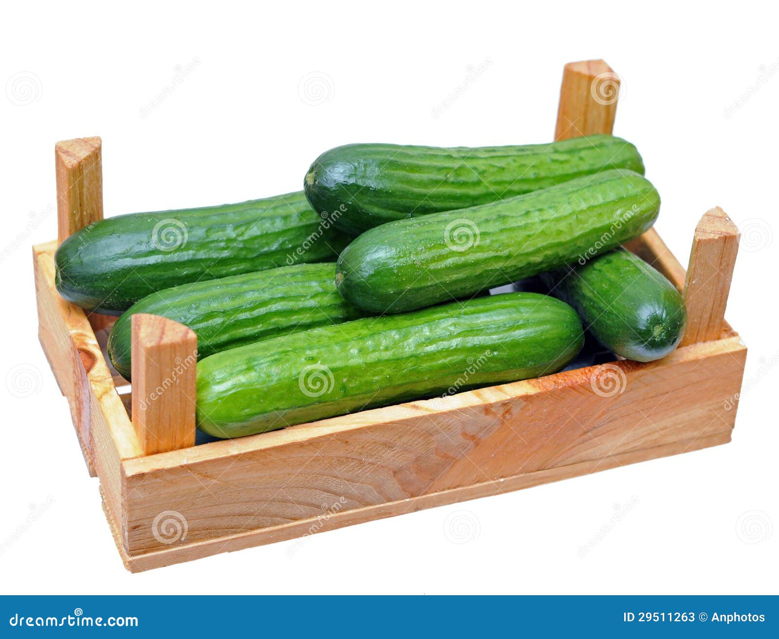 Mini pepino imagen de archivo. Imagen de cosecha, maduro - 29511263