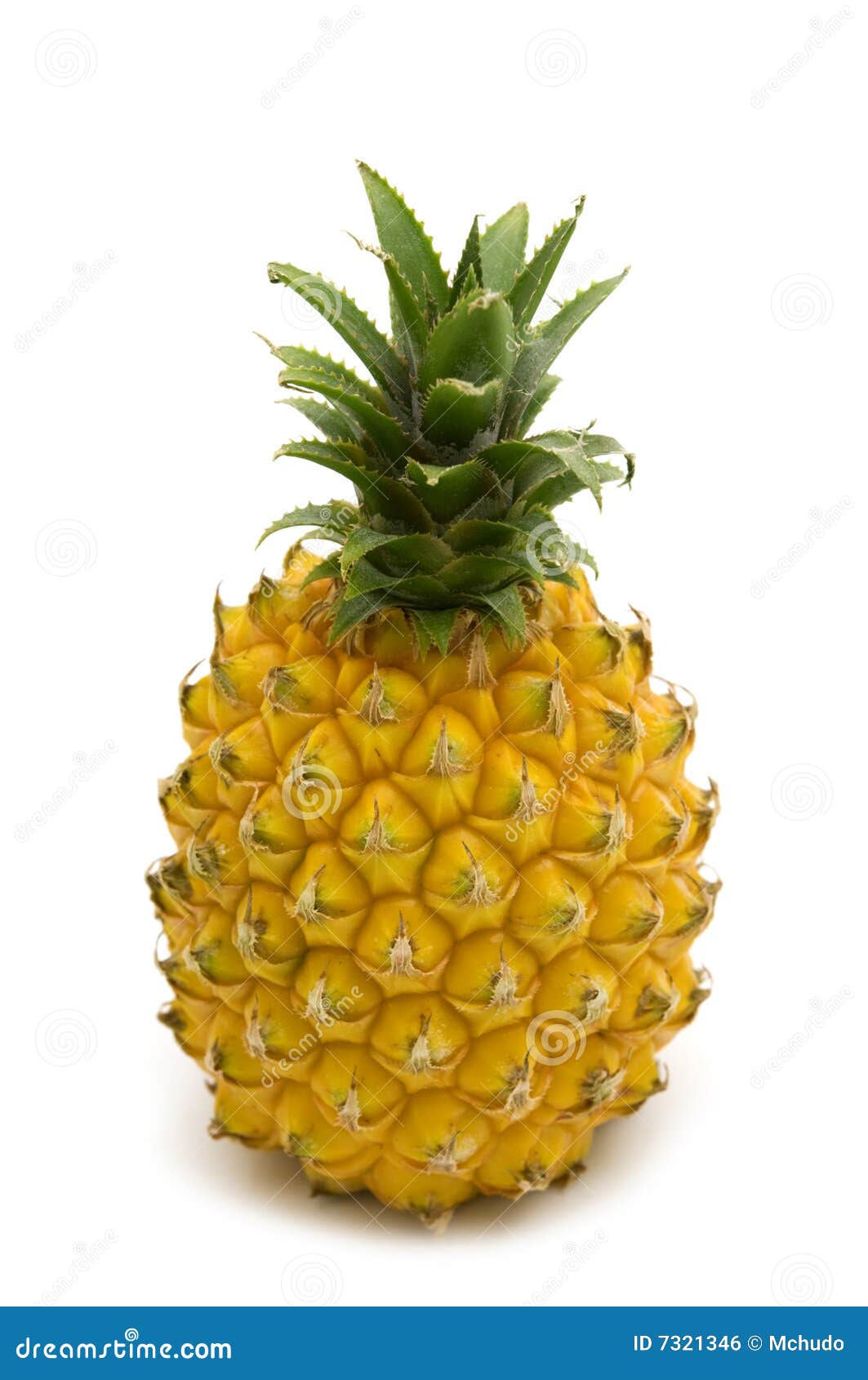 Mini piña foto de archivo. Imagen de comer, alimento, aislado - 7321346