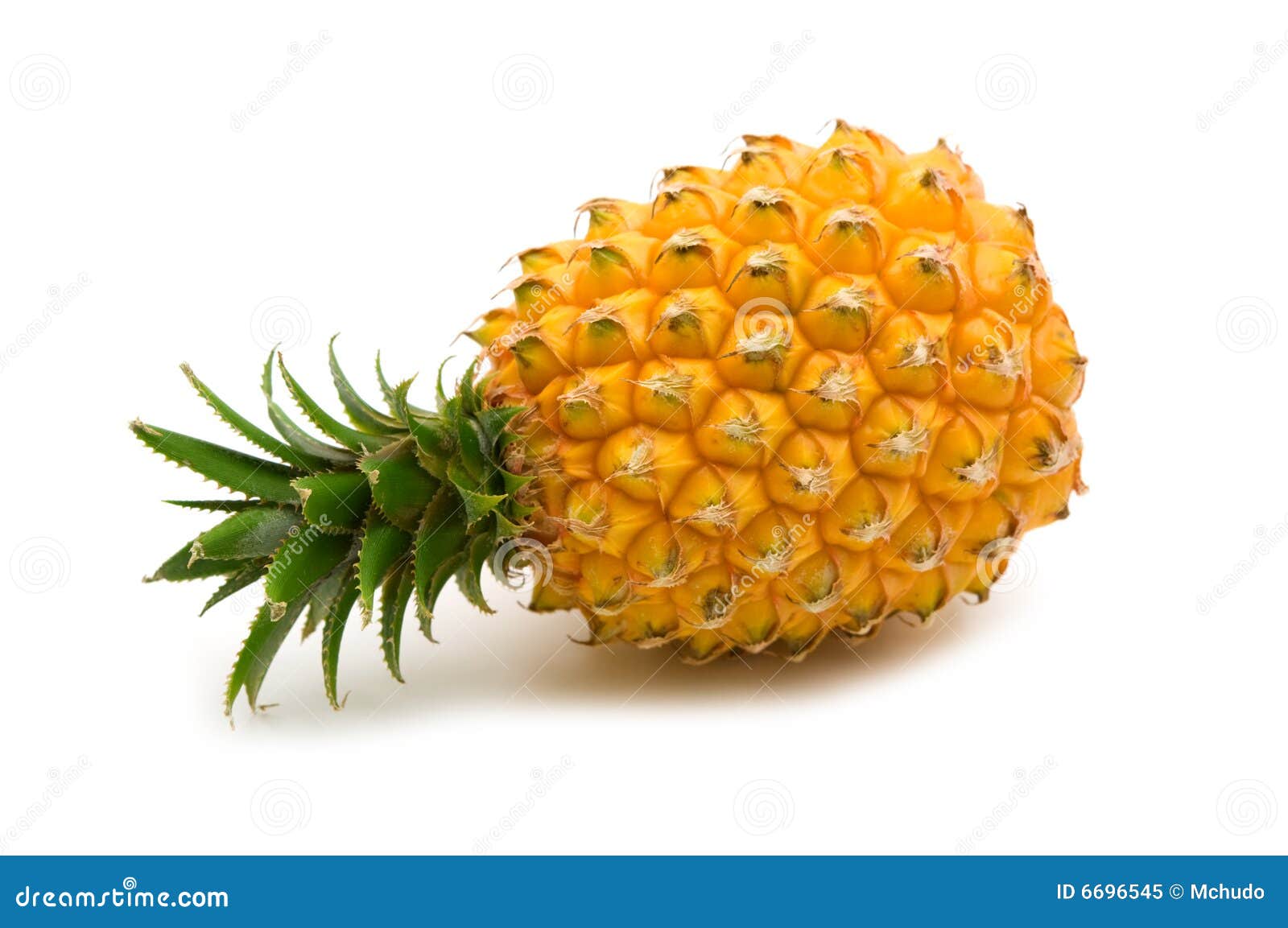 Mini pineapple stock image. Image of healthy, single, juicy - 6696545