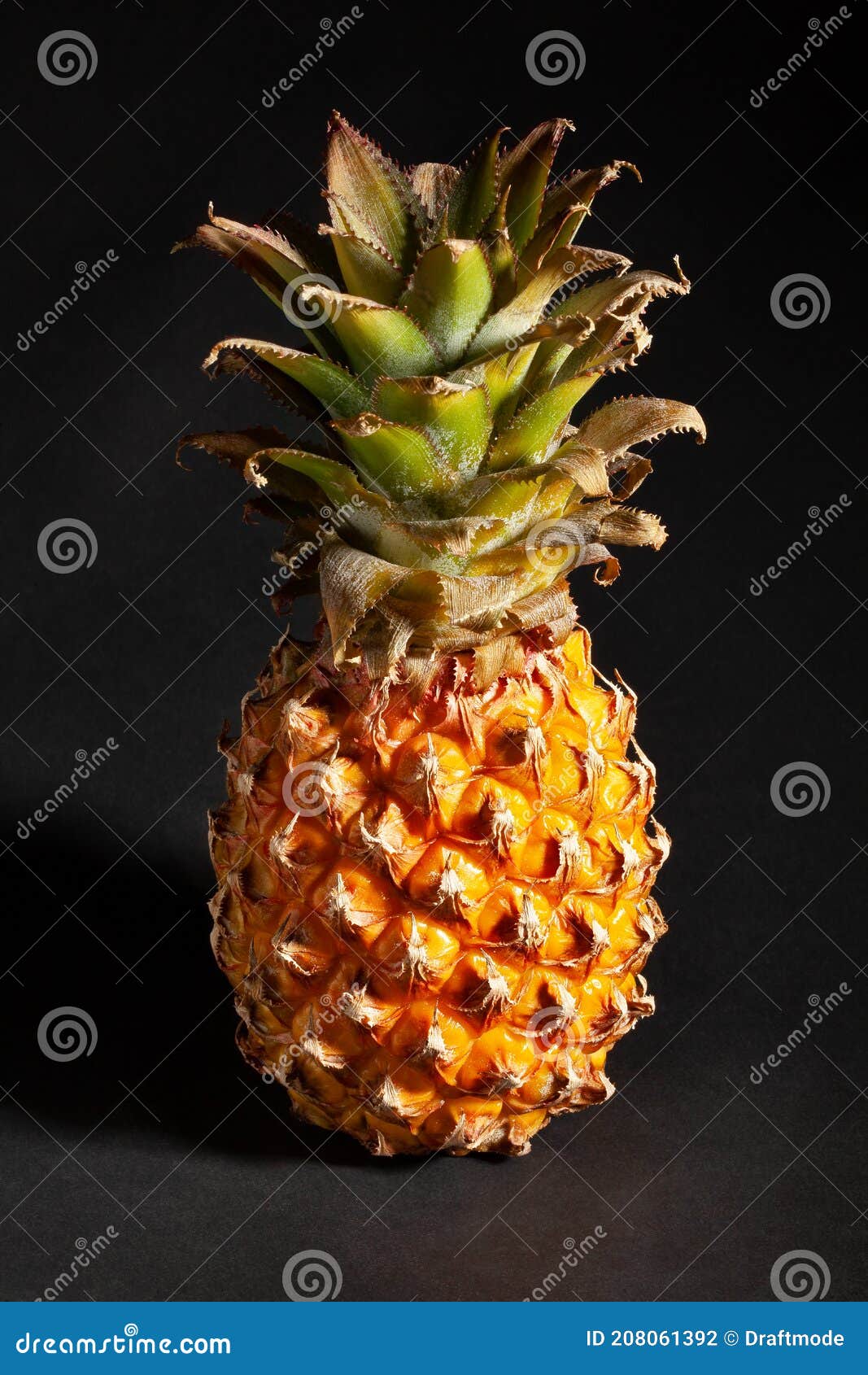 Mini pineapple on black stock photo. Image of antioxidant - 208061392