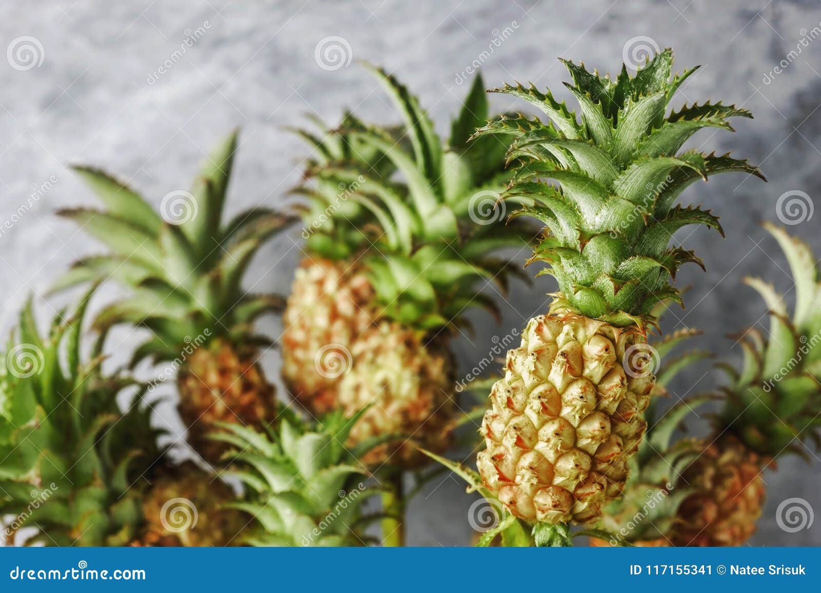 Mini Pineapple On Wood Background Royalty-Free Stock Photography ...