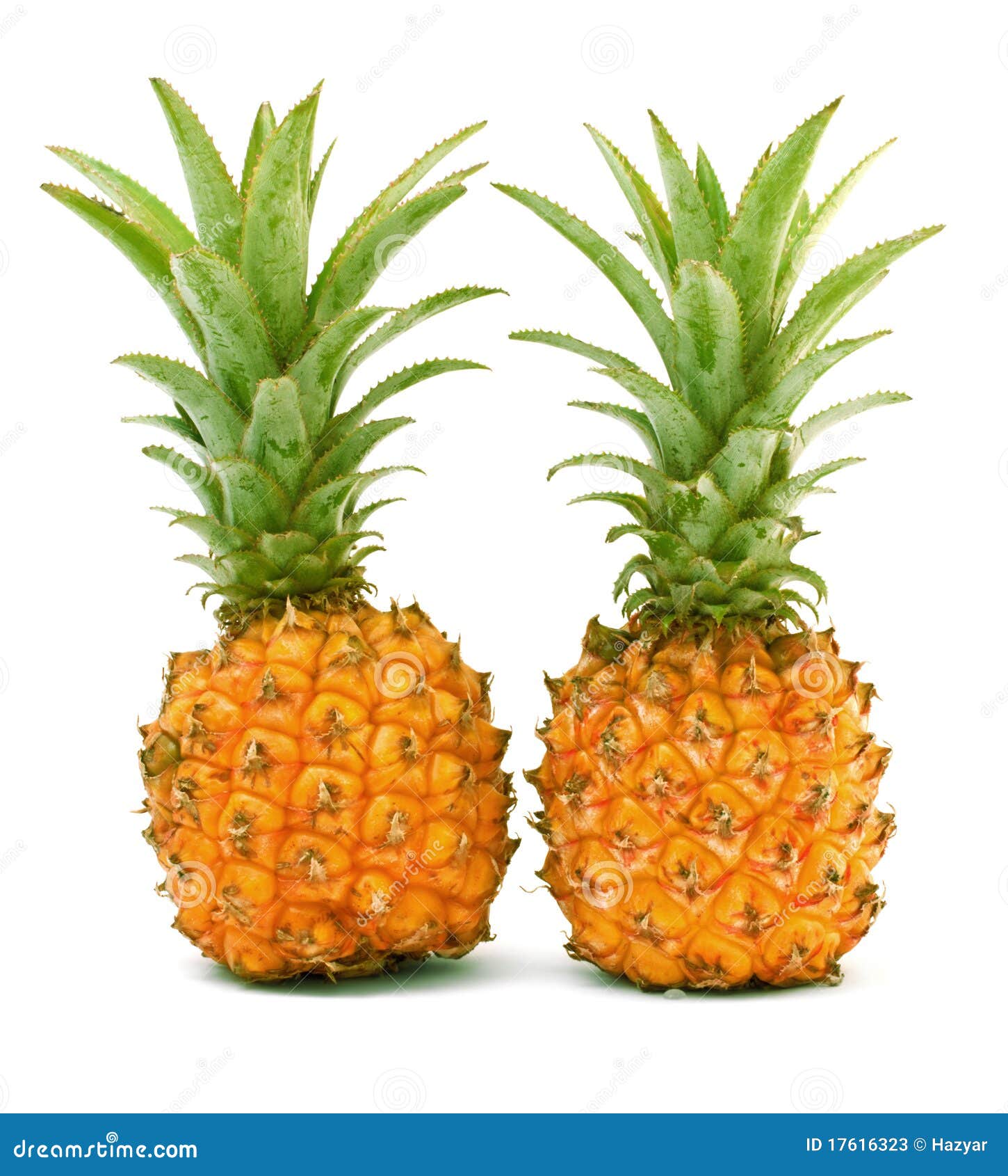 Mini Pineapples Stock Photos - Image: 17616323