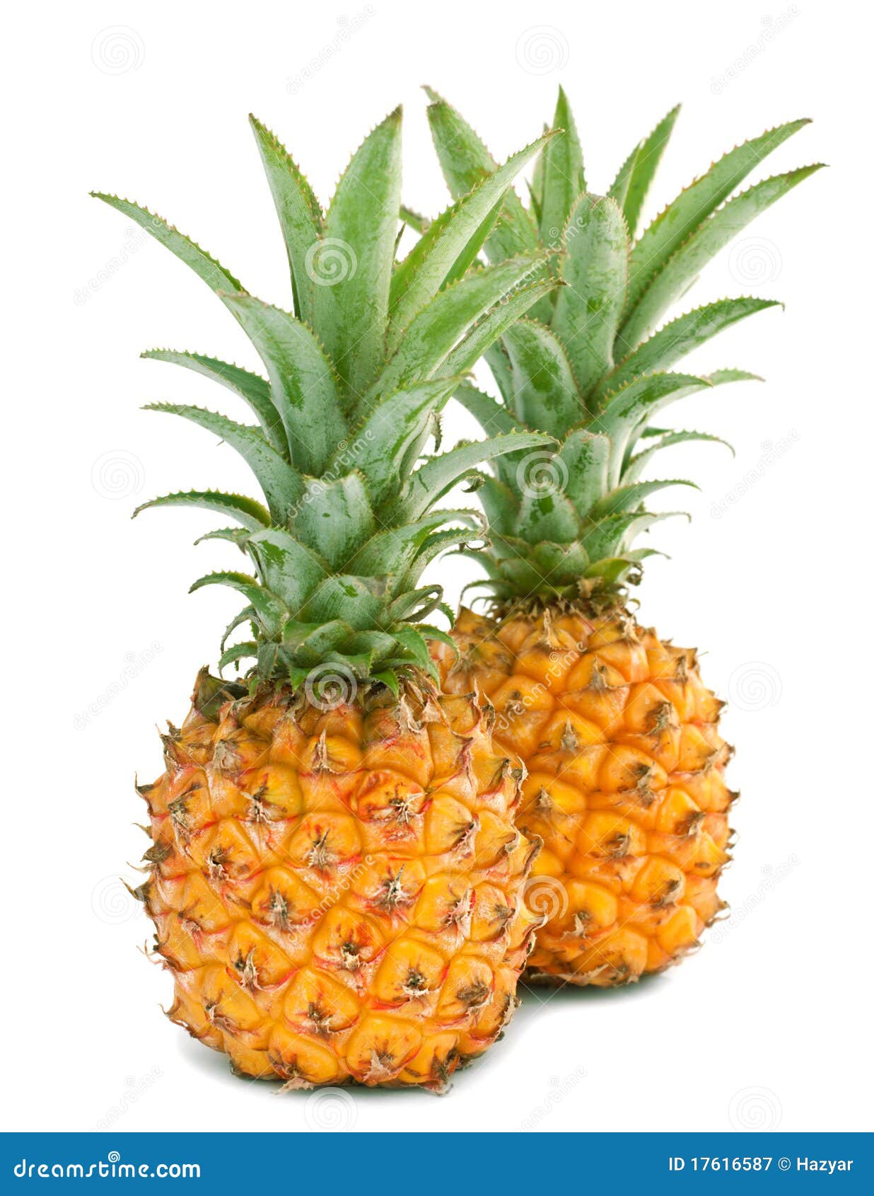 Mini pineapples stock image. Image of small, vegetarian - 17616587
