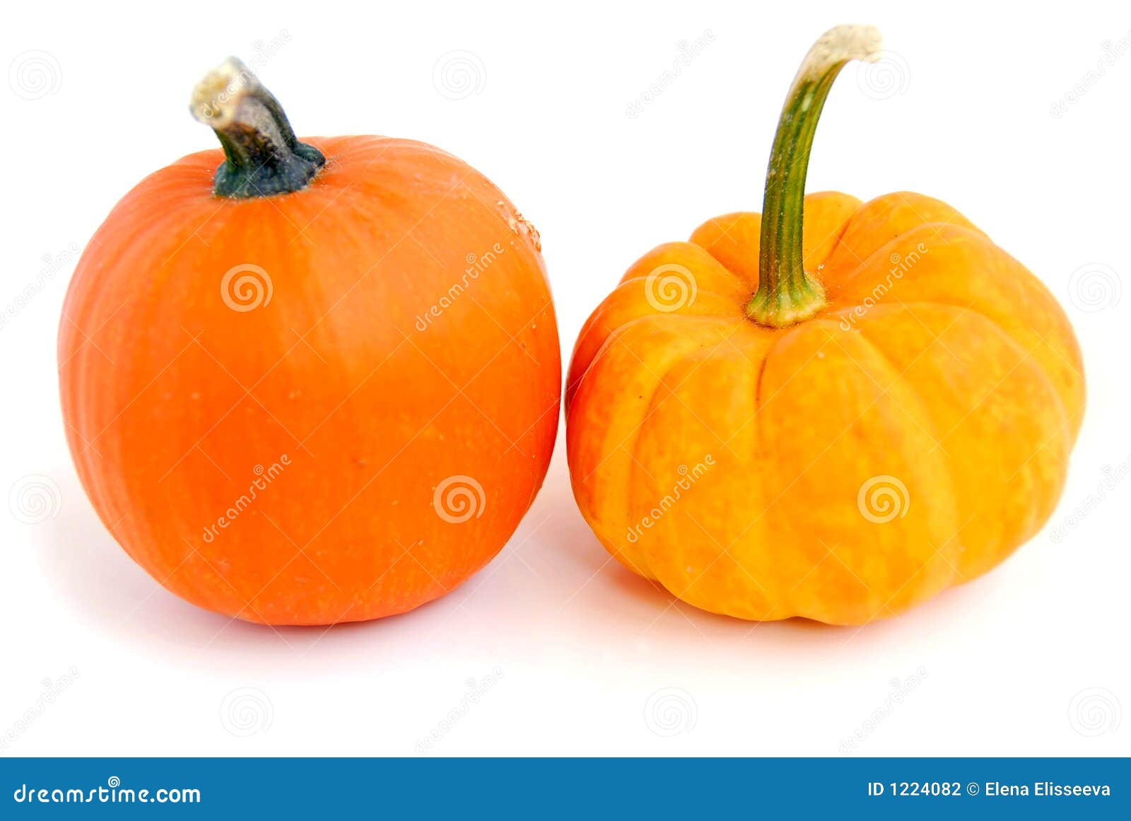 Mini pompoen stock foto. Image of mini, weinigen, decoratief - 1224082