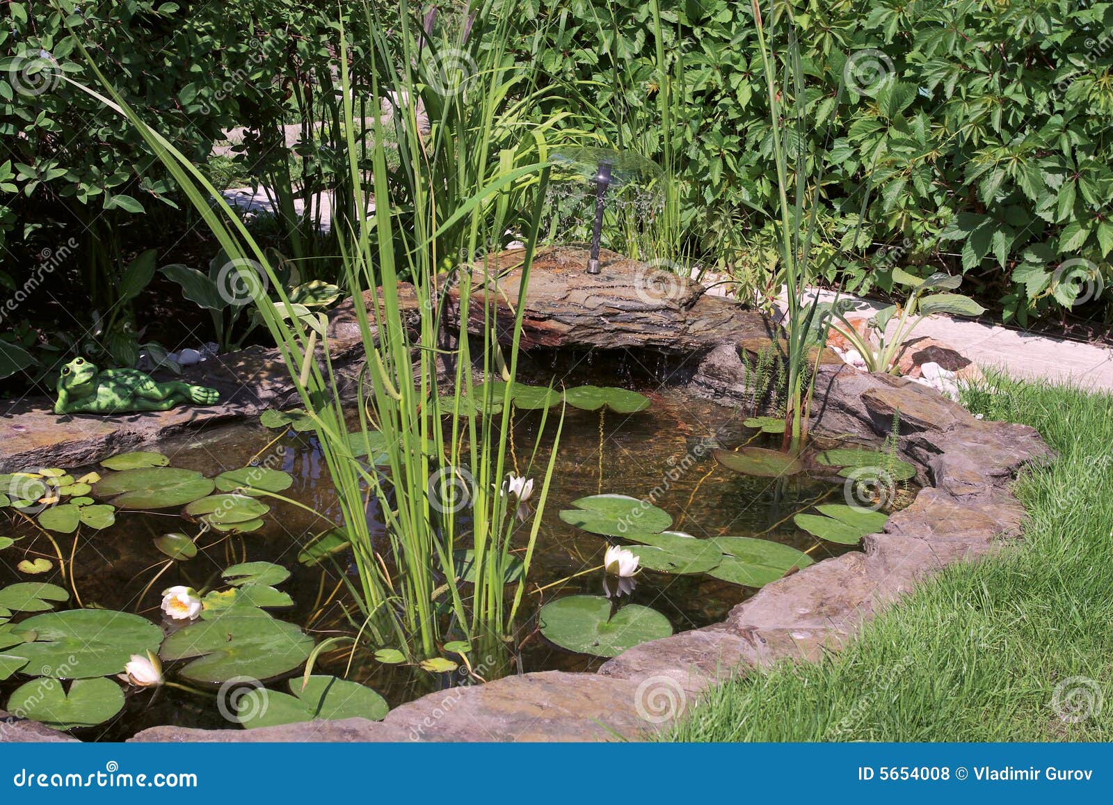 Mini pond stock photo. Image of flow, composition, cane - 5654008