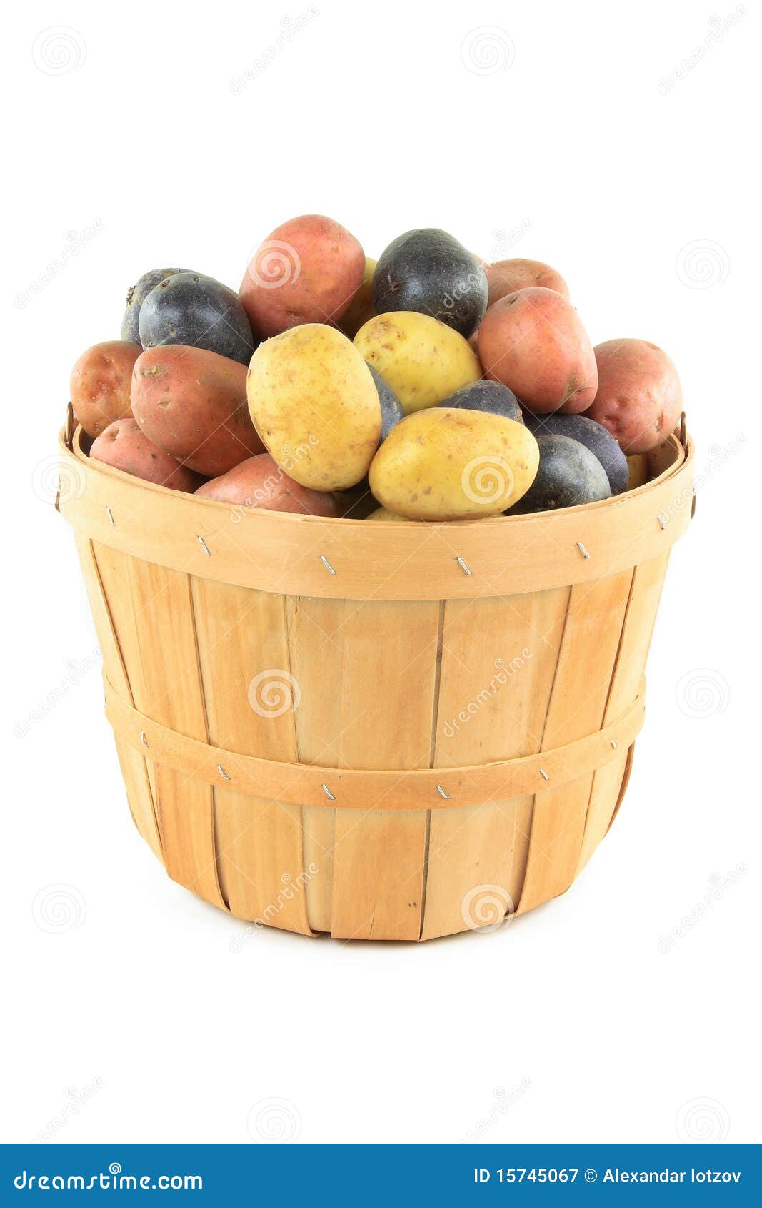 Mini Potatoes with Different Color. Stock Image - Image of yellow ...