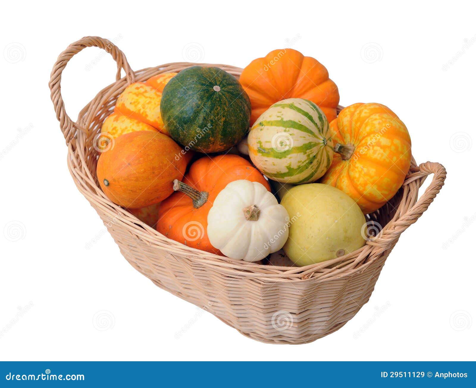 Mini potiron et courge image stock. Image du agriculture - 29511129