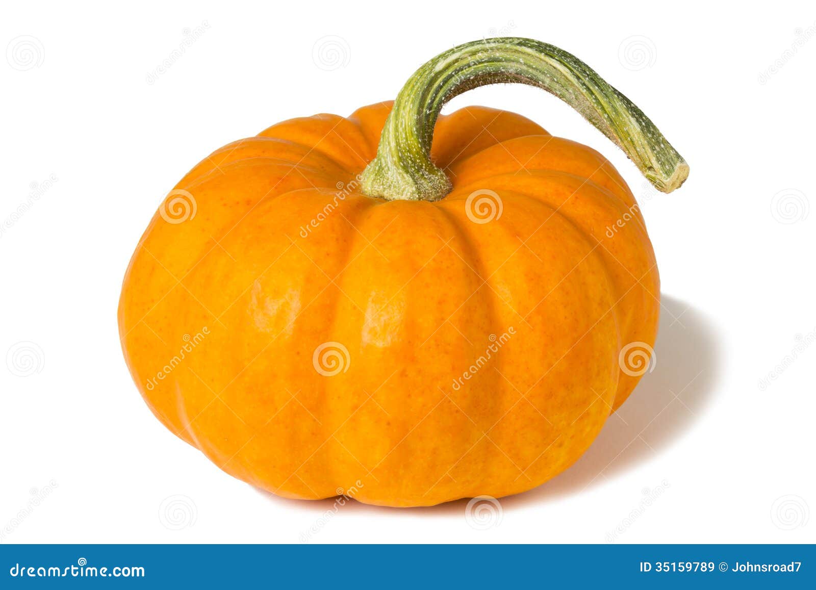 Mini Pumpkin stock image. Image of september, yellow - 35159789