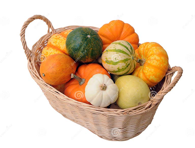 Mini pumpkin and squash stock image. Image of agriculture - 29511129