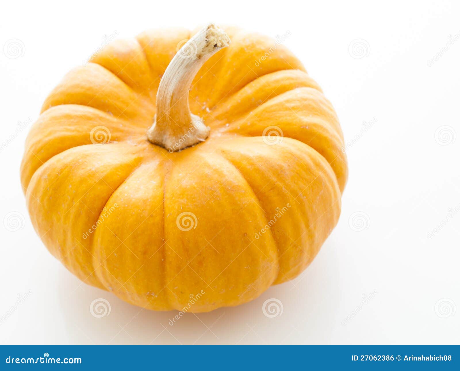 Mini Pumpkins stock photo. Image of small, edible, healthy - 27062386