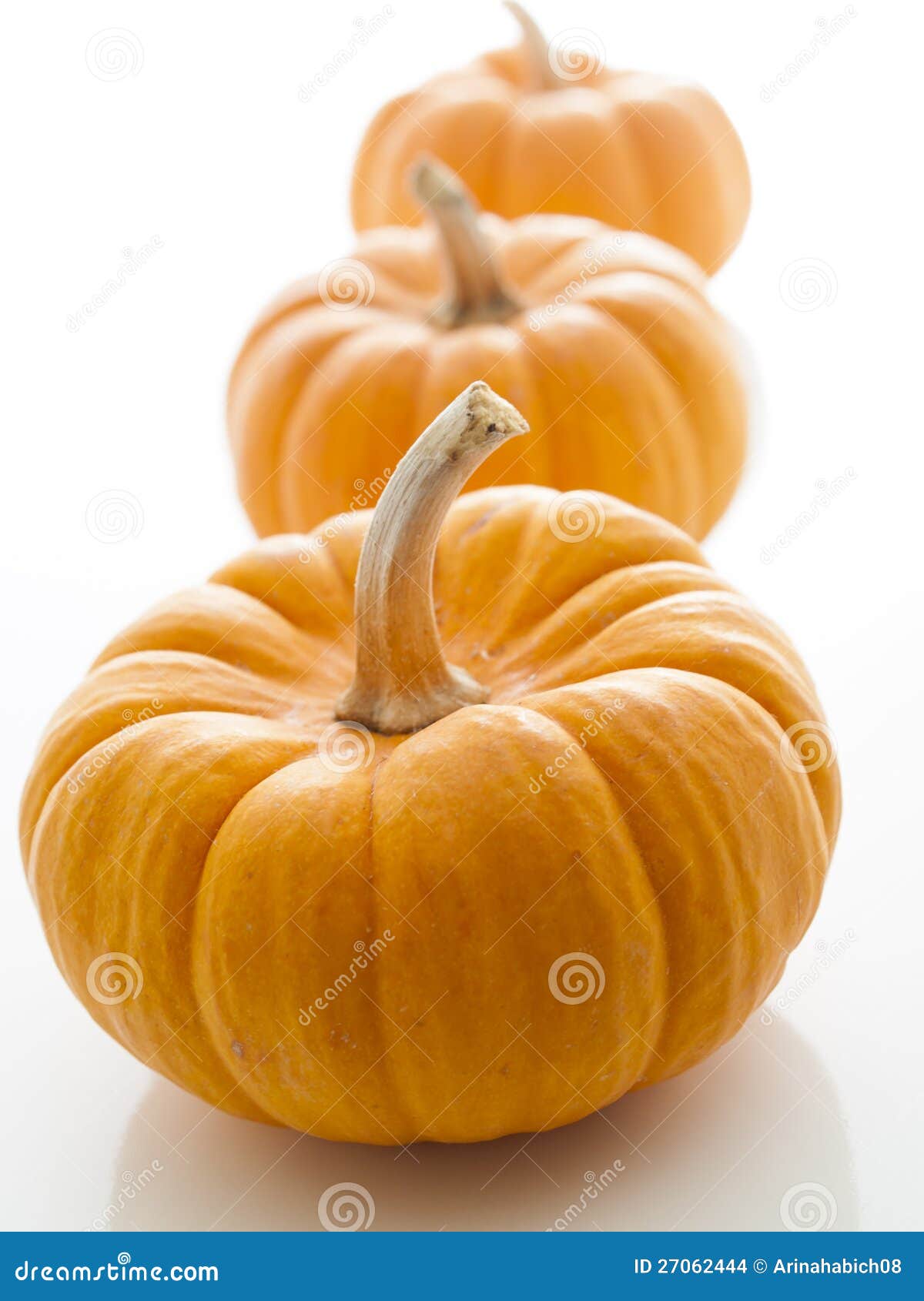 Mini Pumpkins stock photo. Image of round, mini, autumn - 27062444