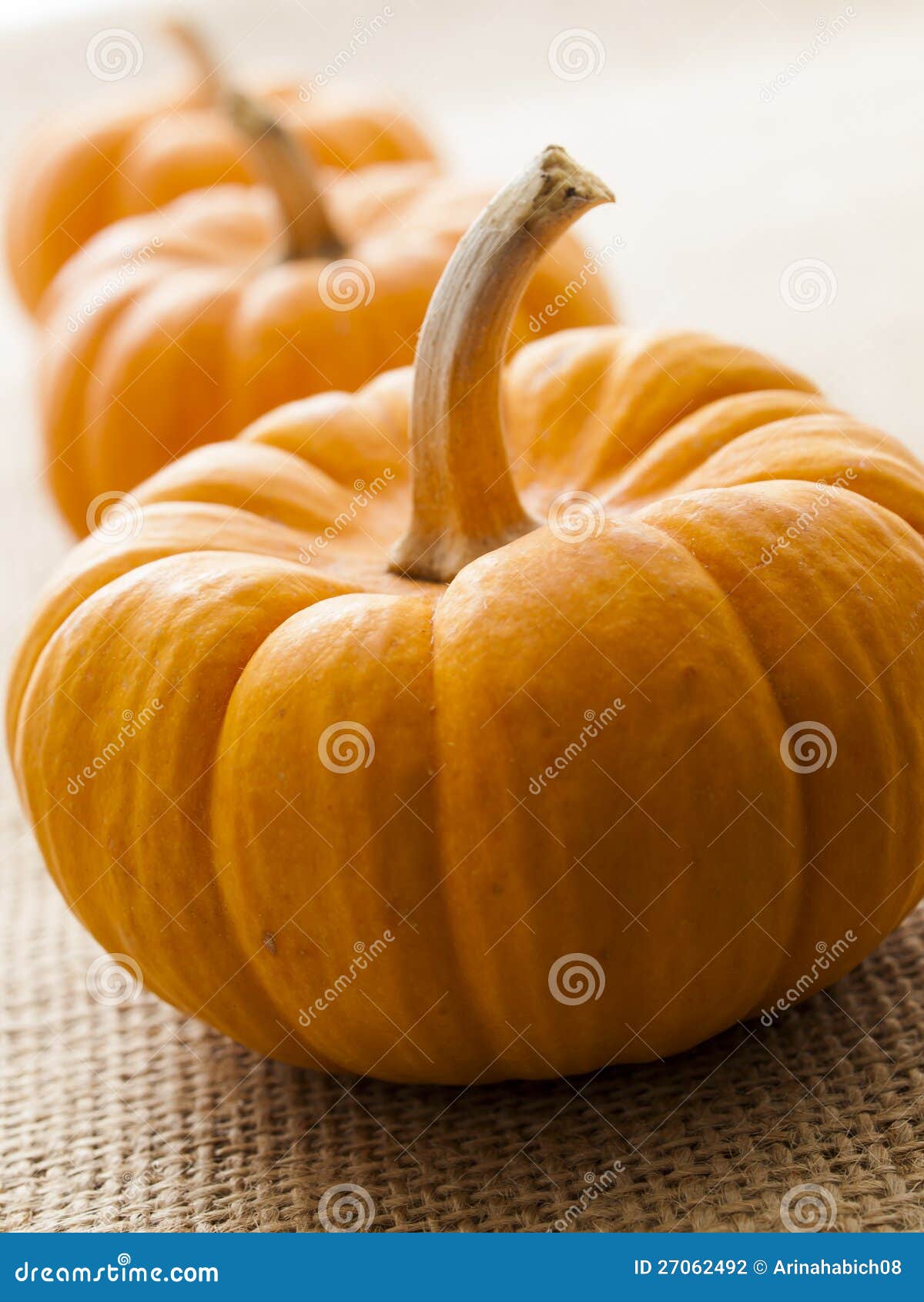 Mini Pumpkins stock photo. Image of natural, fabric, eating - 27062492