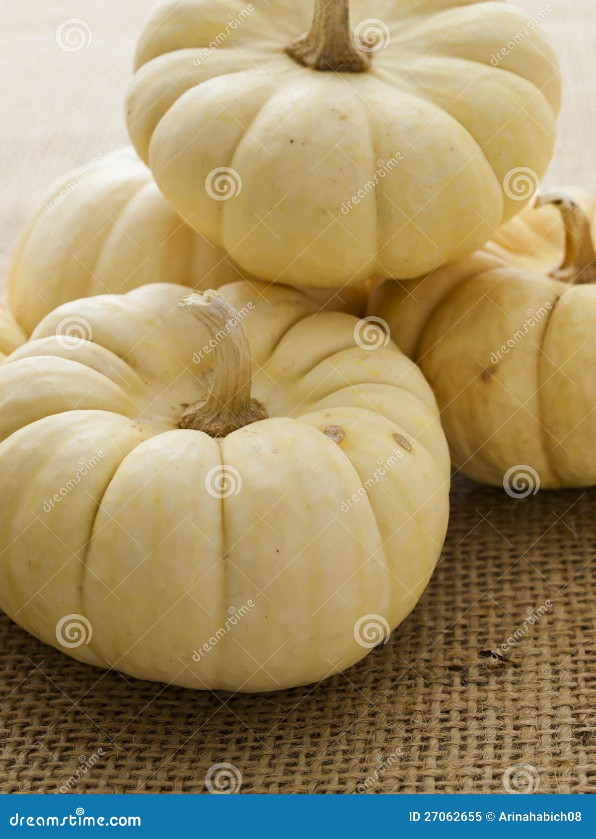 Mini Pumpkins stock image. Image of edible, nutrition - 27062655