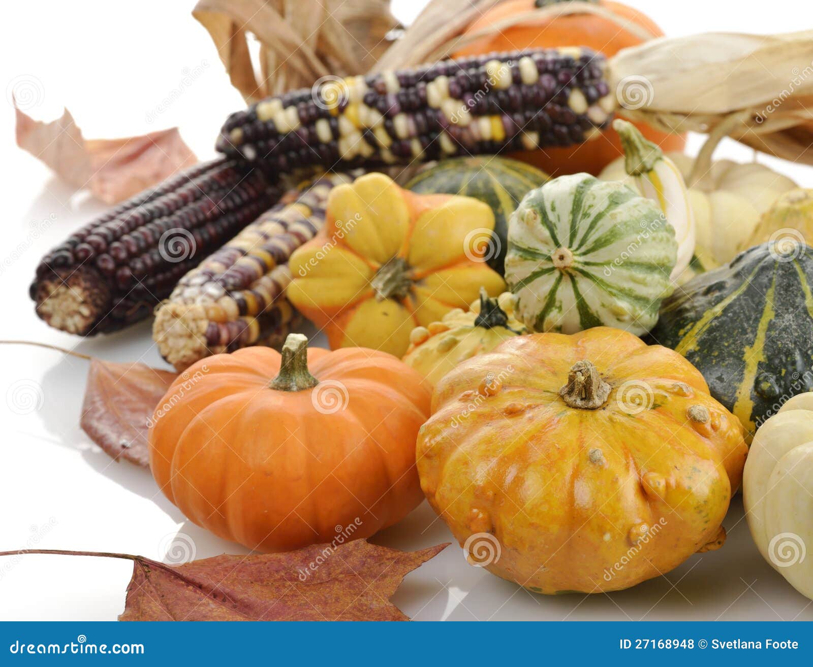 Mini Pumpkins and Indian Corn Stock Photo - Image of wooden, indian ...